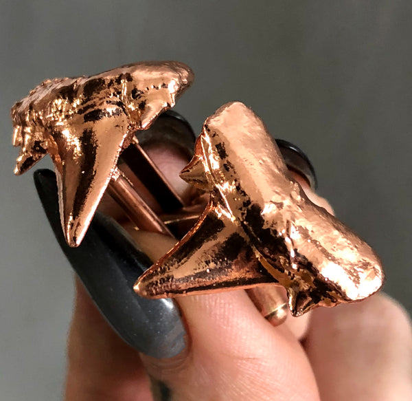 copper shark tooth