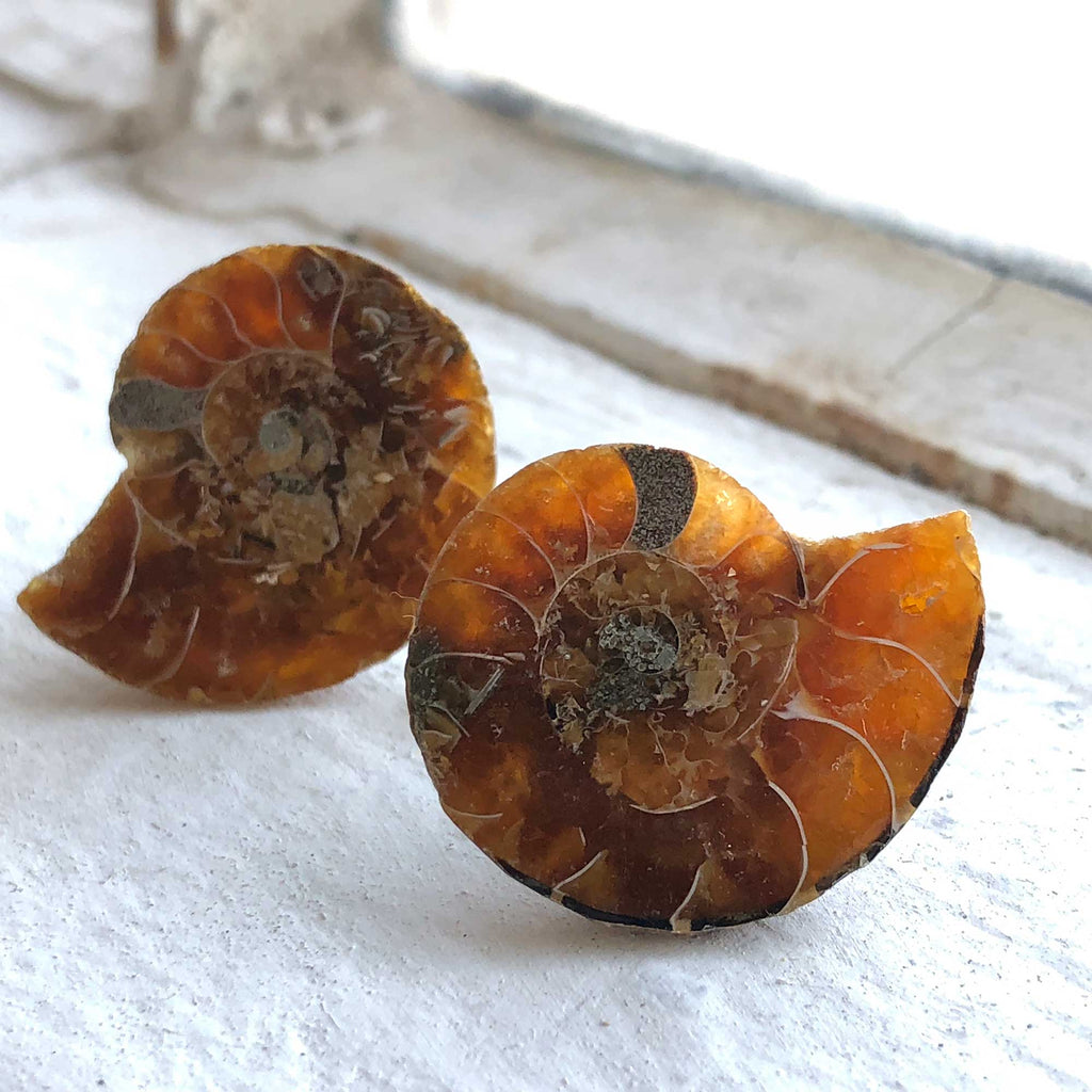 Ammonite Cufflinks, golden ratio, men's fossil cufflinks