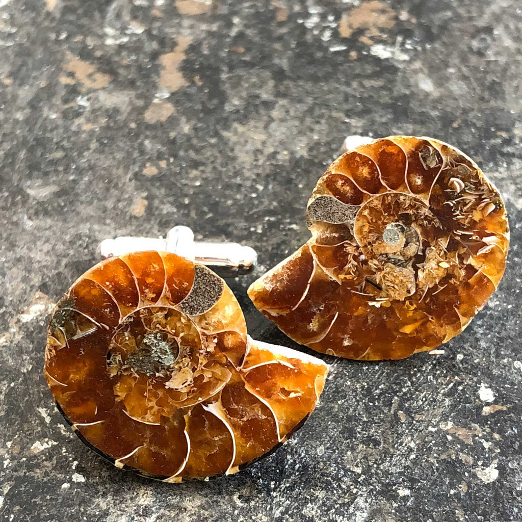 Ammonite Cufflinks, golden ratio, men's fossil cufflinks